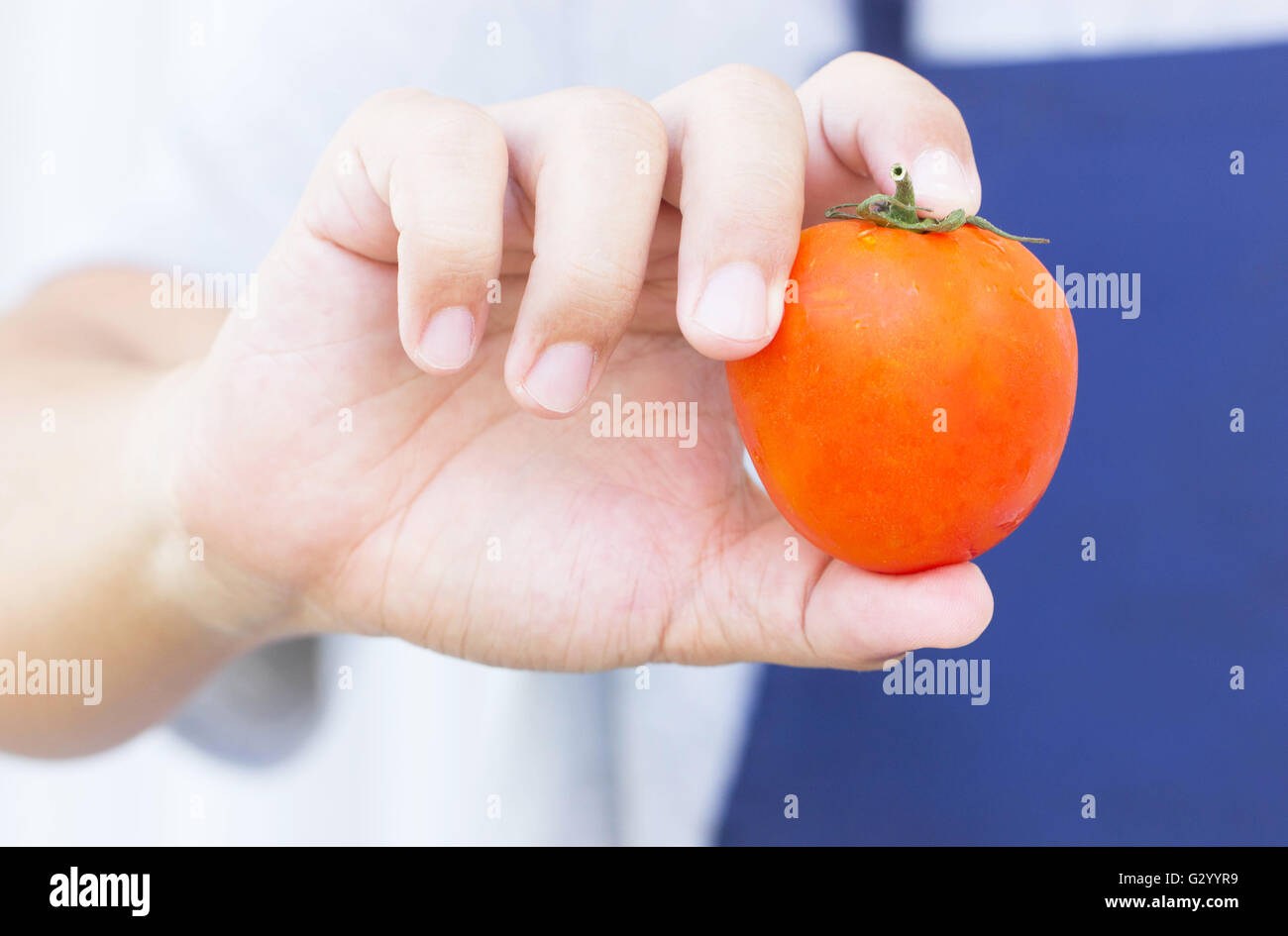 Red tomato in hand hi-res stock photography and images - Alamy