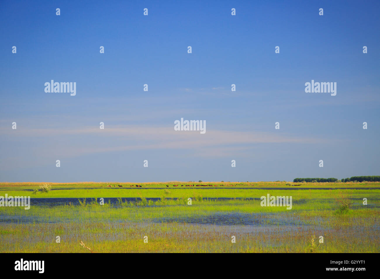 Spring countryside mist gate hi-res stock photography and images - Alamy