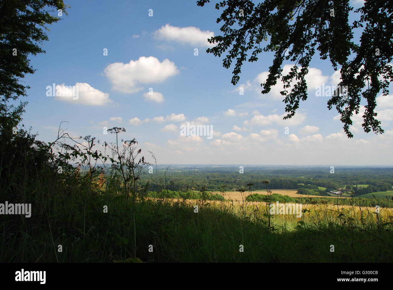 Malborough Downs view Stock Photo - Alamy