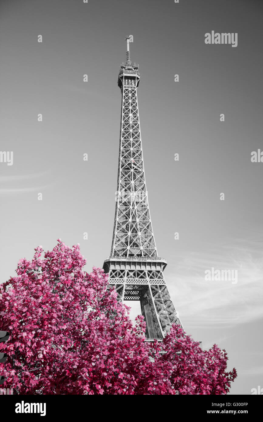 Selective colorization hi-res stock photography and images - Alamy