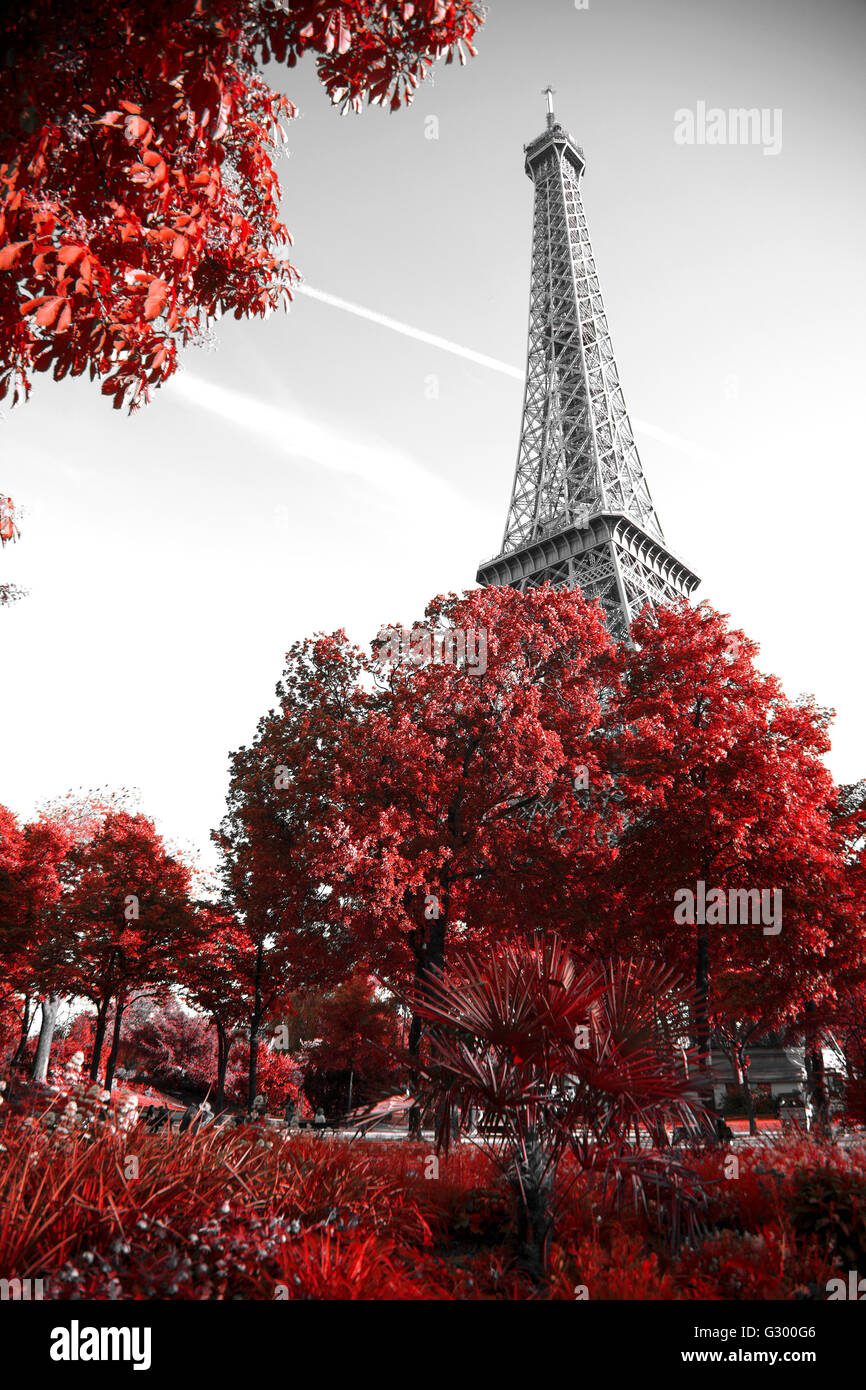 Selective colorization hi-res stock photography and images - Alamy