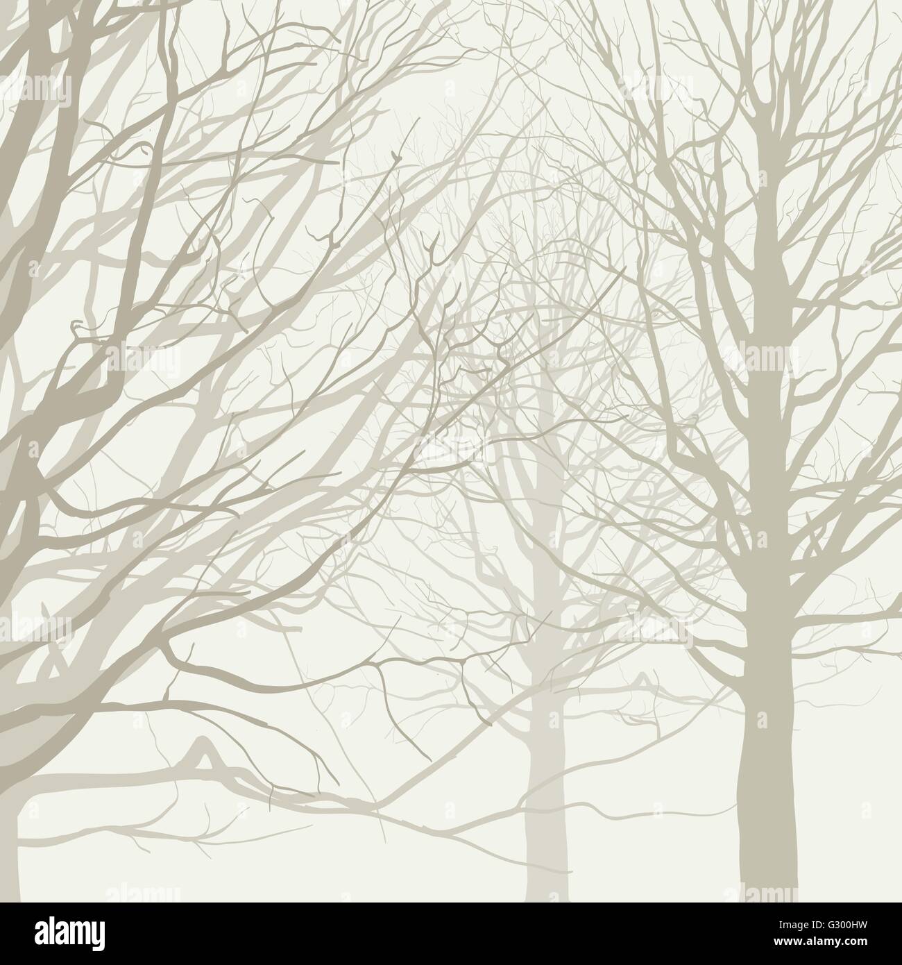 Forest background coniferous trees Stock Vector Images - Alamy