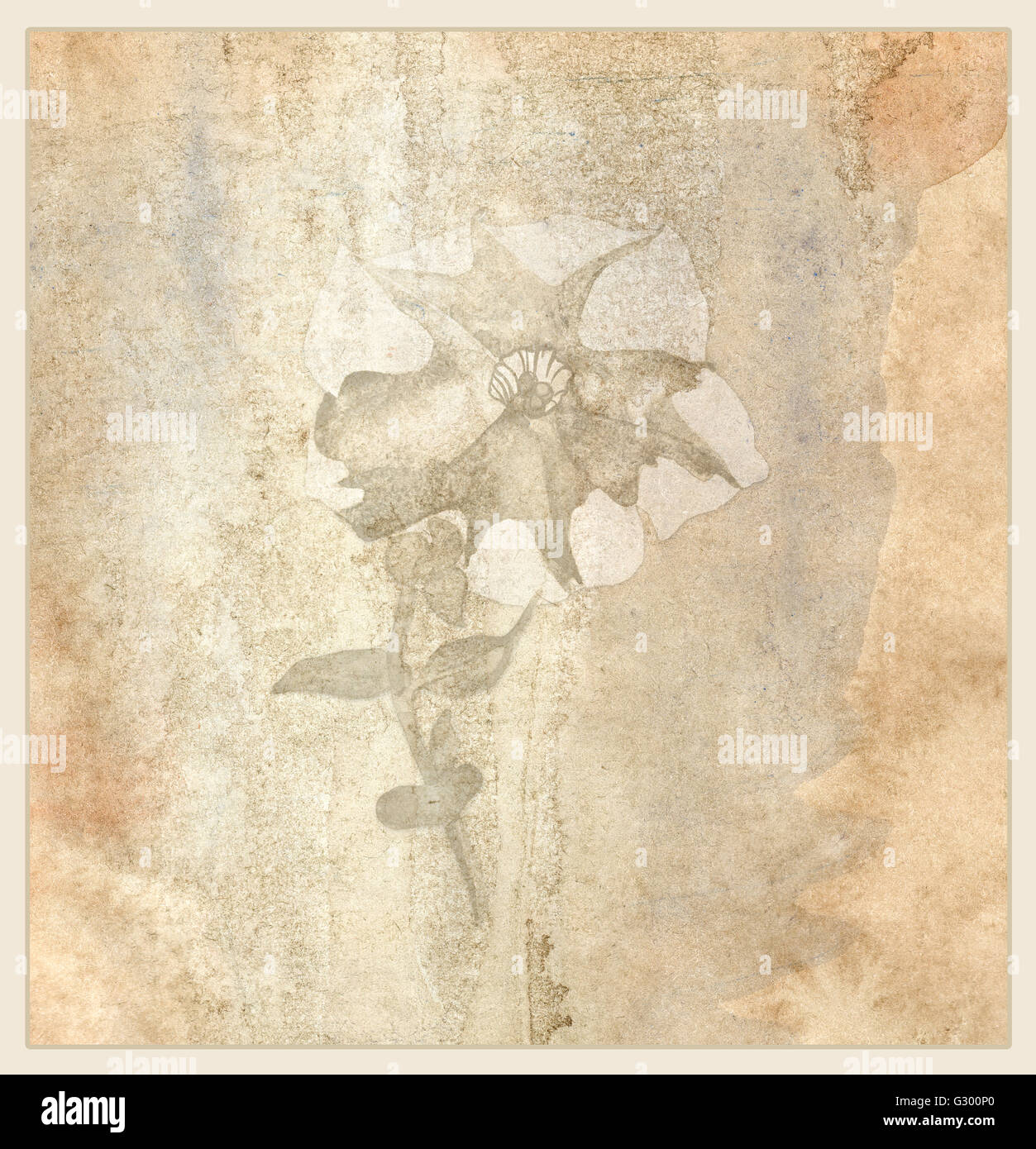 Torn flowers hi-res stock photography and images - Alamy