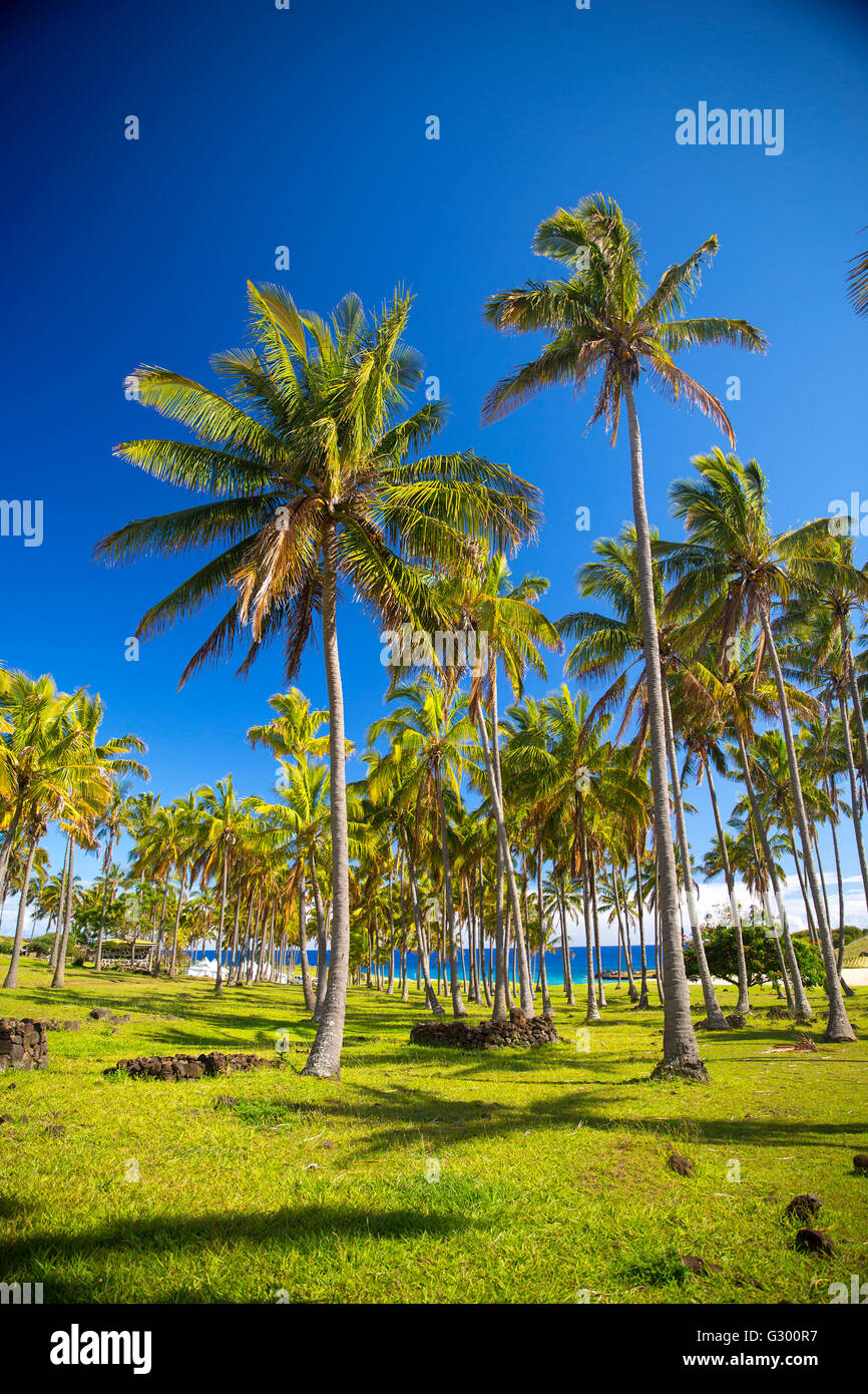 Rapa nui beach hi-res stock photography and images - Alamy