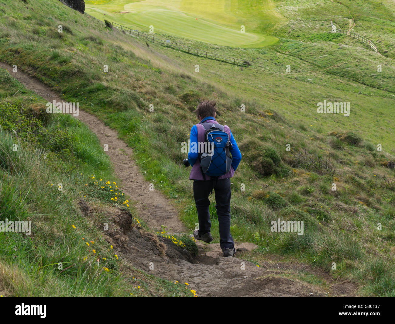 Female walker Fife Coastal Path Scotland a published Right of Way and ...