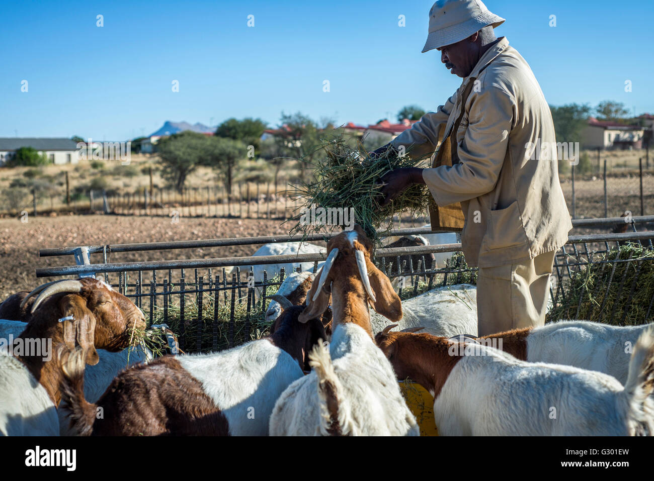 Namibia windhoek farm hi-res stock photography and images - Alamy