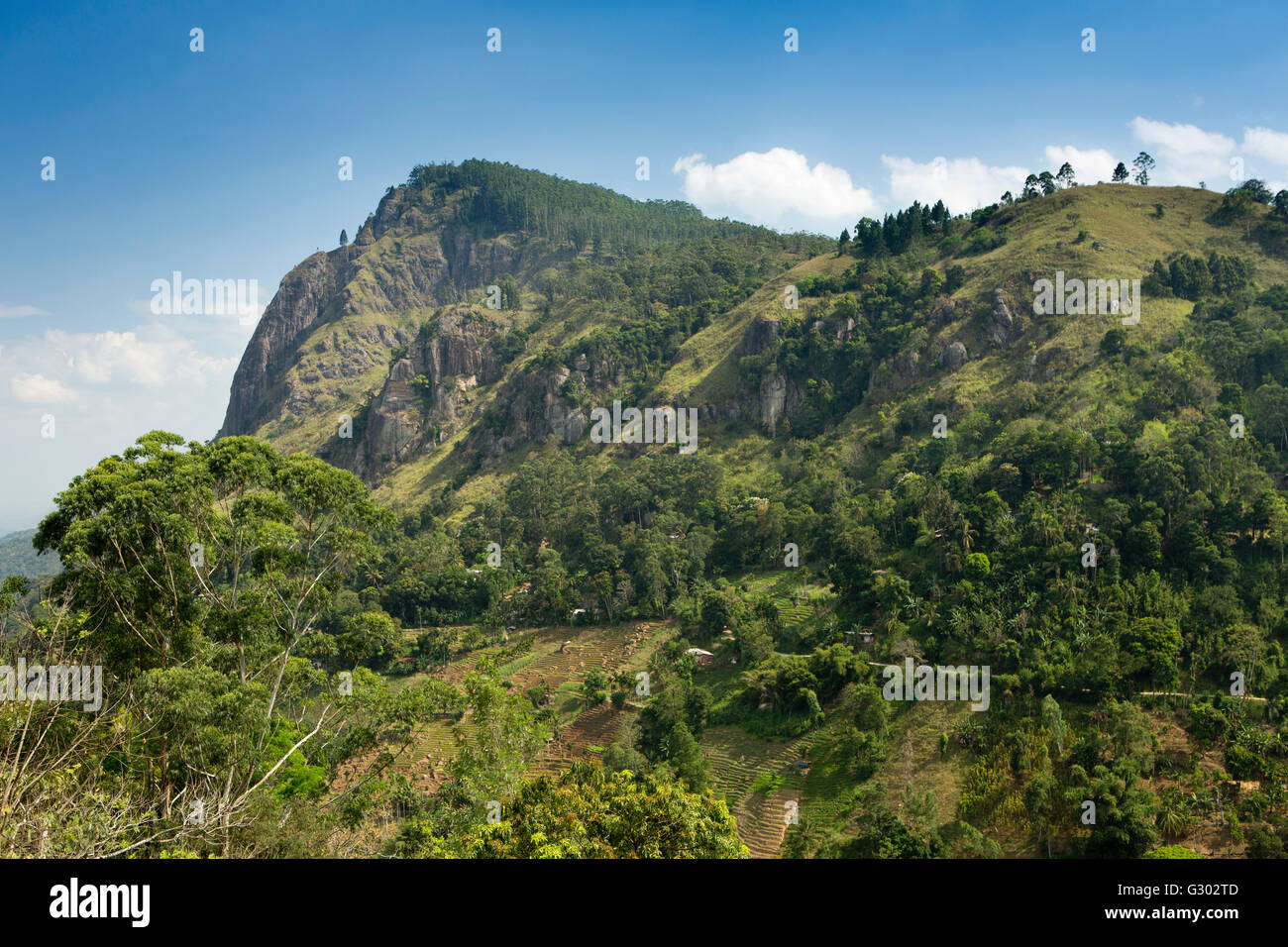 Sri Lanka, Ella, scenic view of Ella Rock and road to falls from garden ...