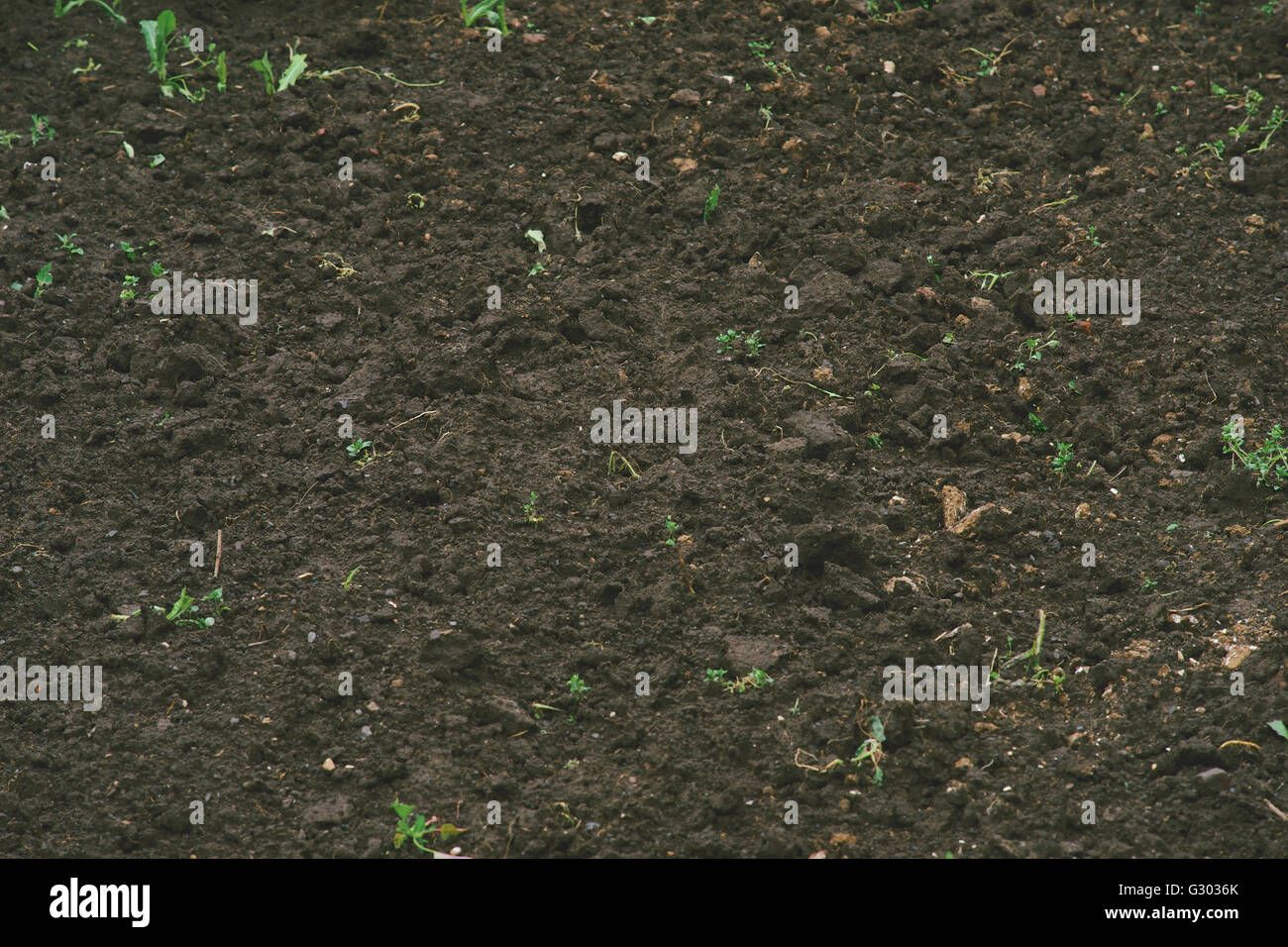 Black soil texture hi-res stock photography and images - Alamy
