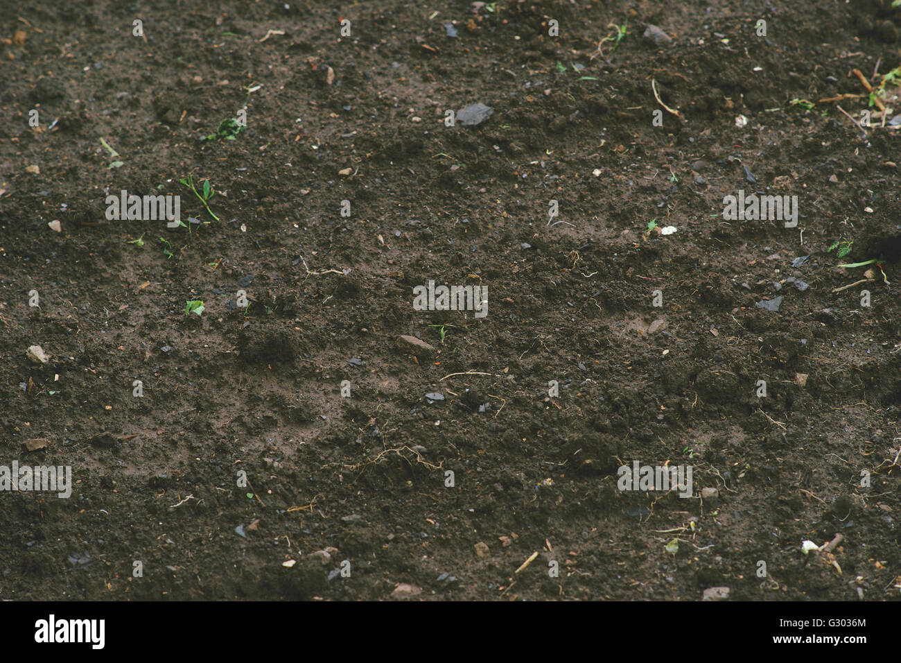 Black soil texture hi-res stock photography and images - Alamy