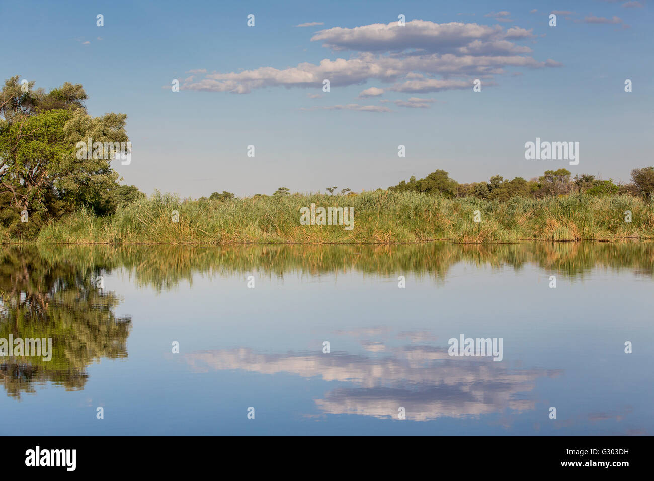 River landscape in Mamili National Park, Caprivi Strip, Namibia, Africa ...