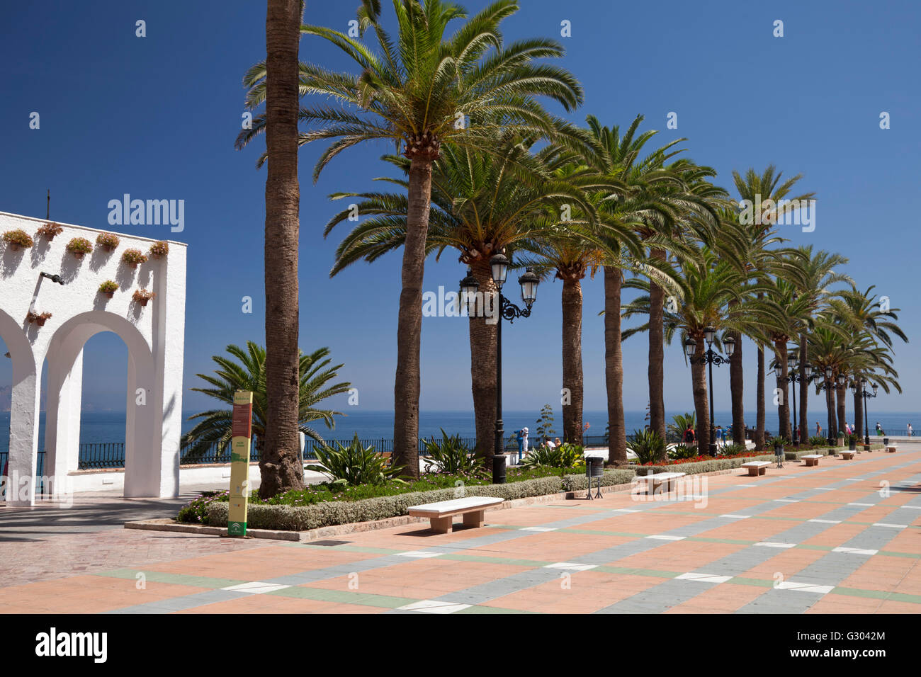 Palm trees along the promenade to the observation deck of Balcón de ...