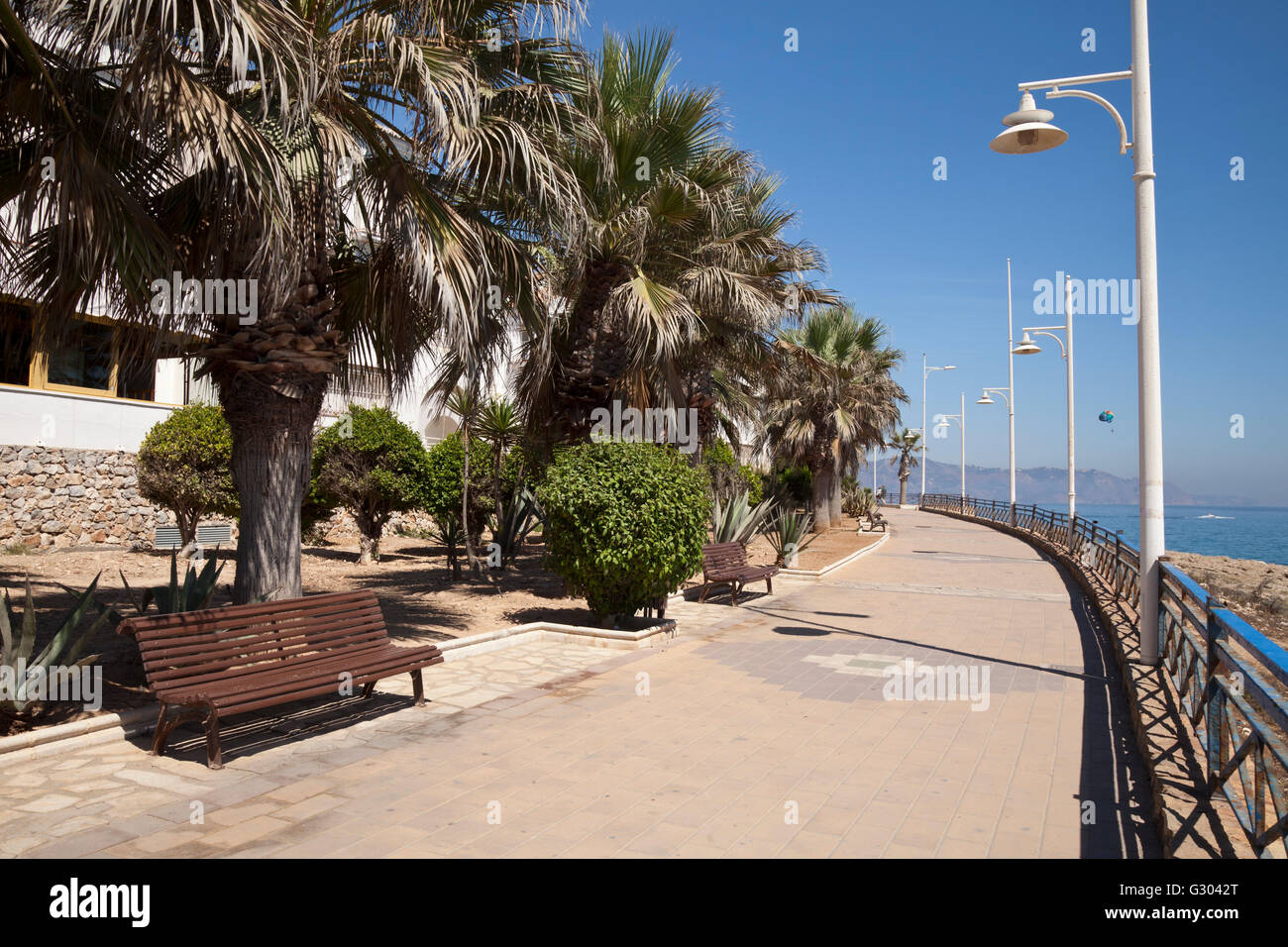 Beach promenade lined with palm trees, Nerja, Costa del Sol, Andalusia ...
