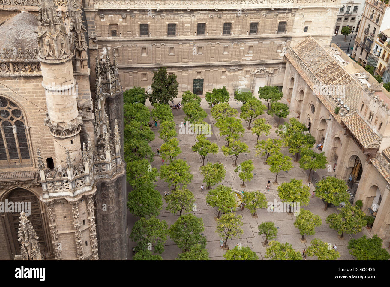 Tree over church tower hi-res stock photography and images - Alamy