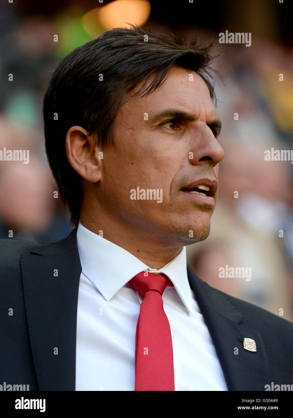 Chris coleman football portrait hi-res stock photography and images - Alamy