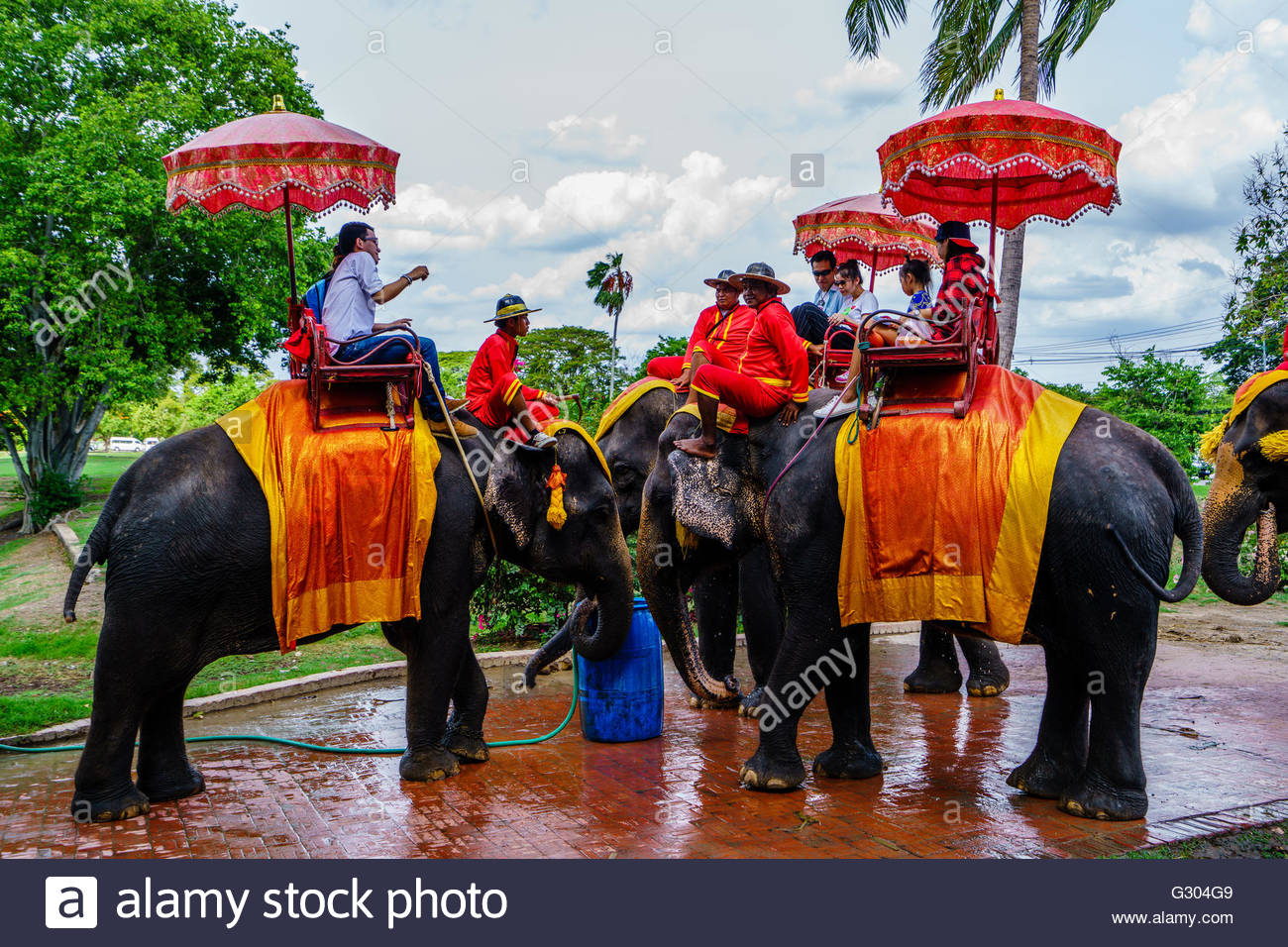 Thailand Elephant Kids Stock Photos & Thailand Elephant Kids Stock ...