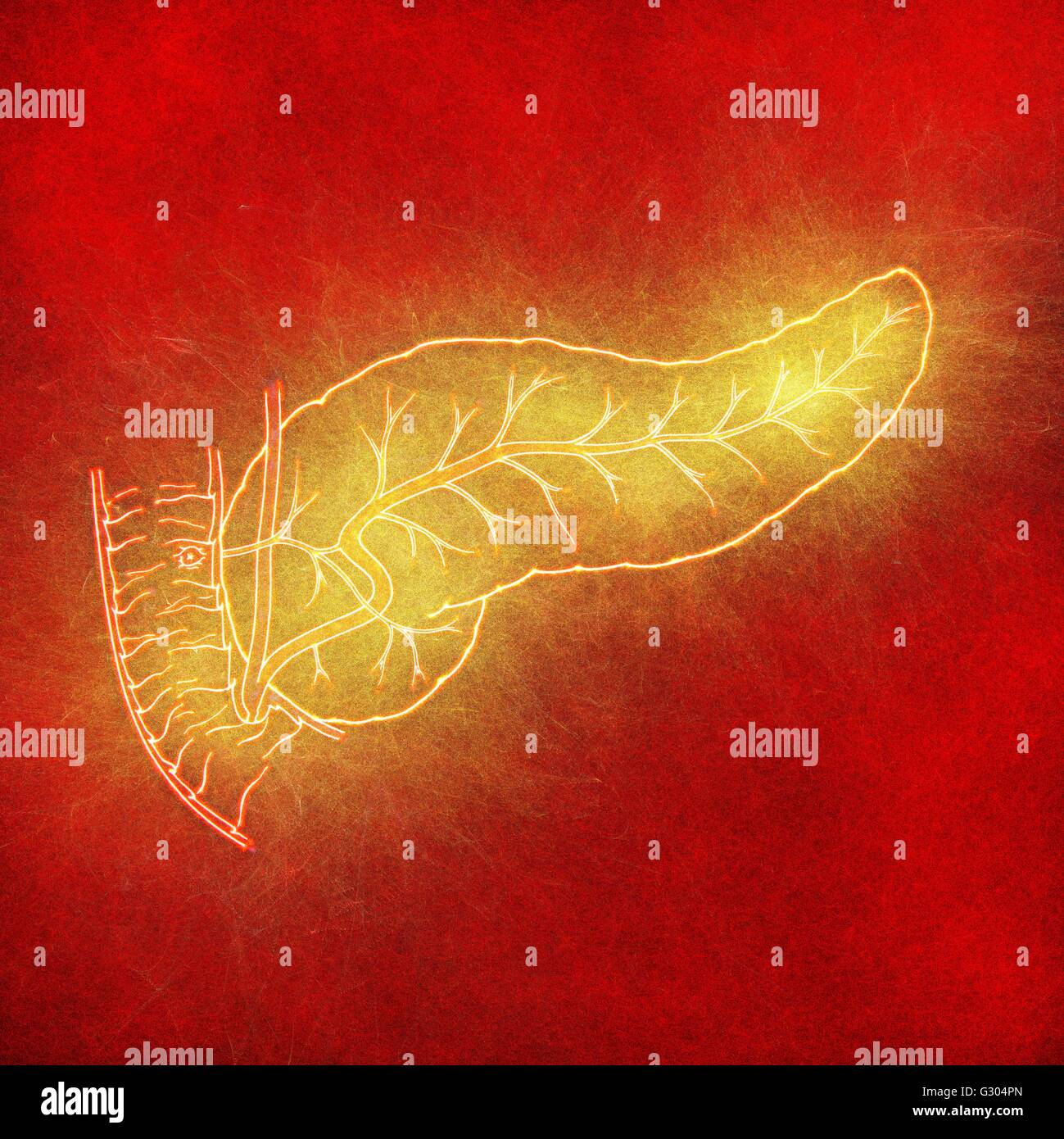 Abstract human illustration hi-res stock photography and images - Alamy