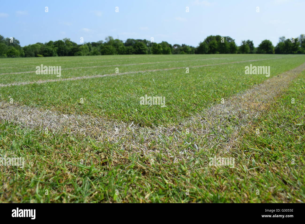Painted white sports lines on grass Stock Photo - Alamy