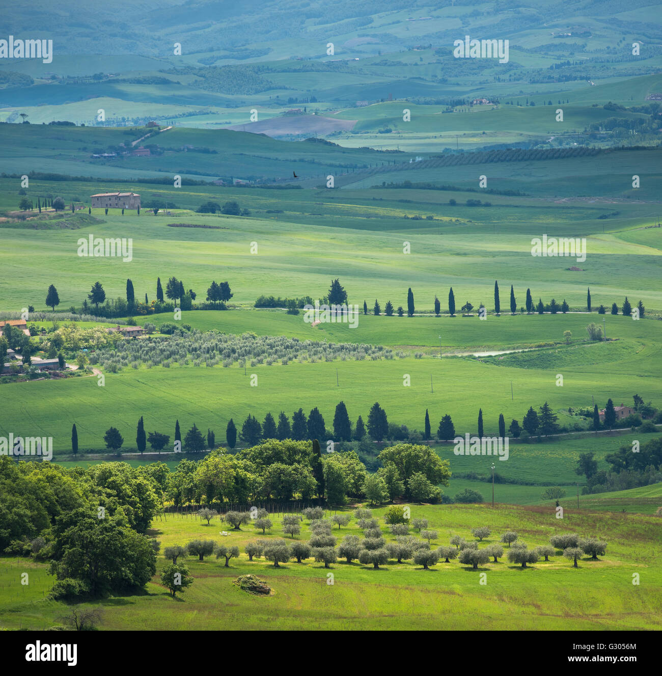 Tuscan hills vineyards hi-res stock photography and images - Alamy