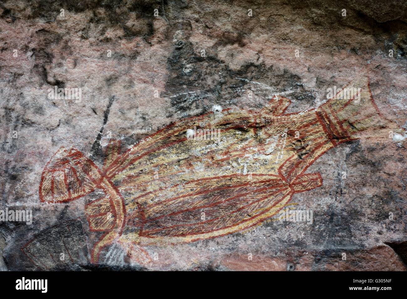 A cheeky mullet fish at Big Bill's Shelter, named after Big Bill ...