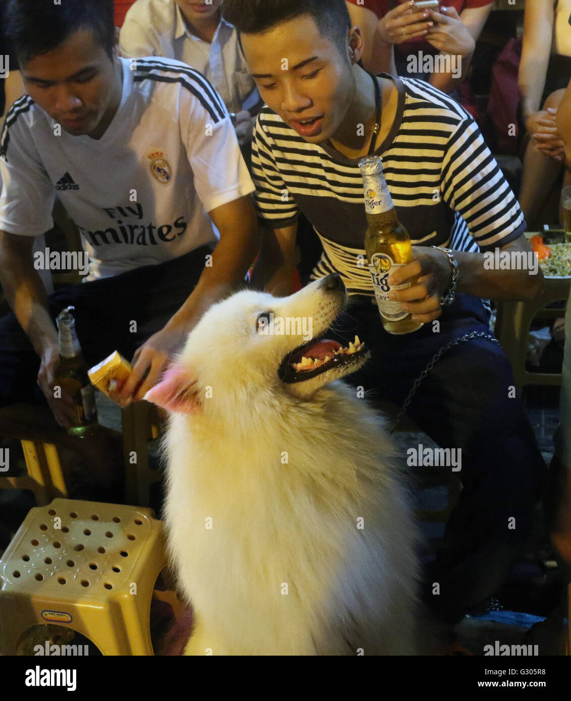White dog ears painted pink hi-res stock photography and images - Alamy