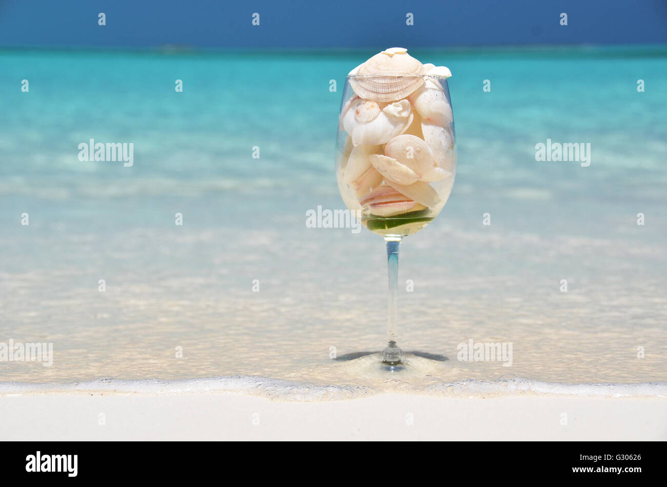 Glass full of seashells on the beach. Great Exuma, Bahamas Stock Photo ...
