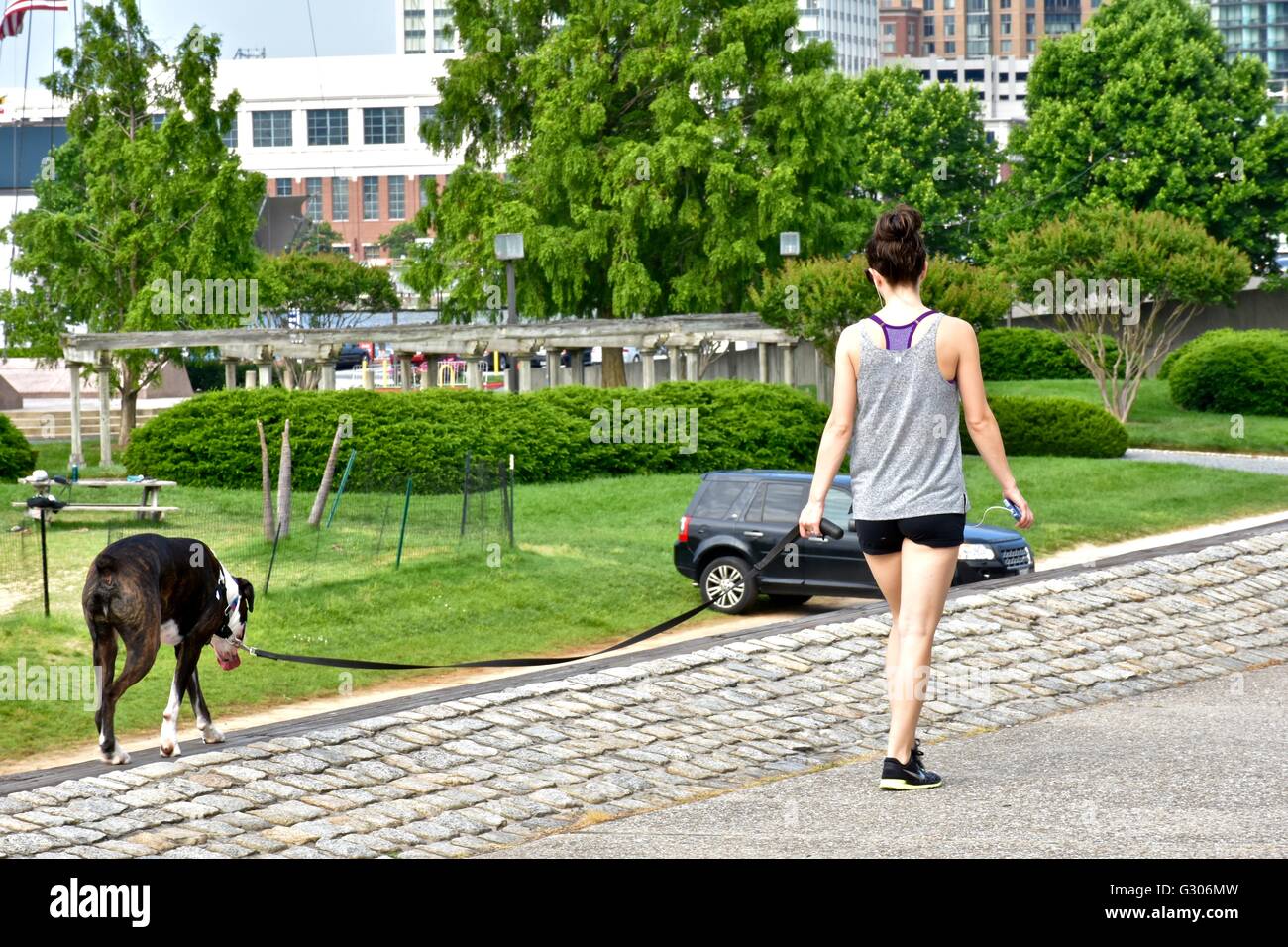 woman walking her dog in the park Stock Photo - Alamy