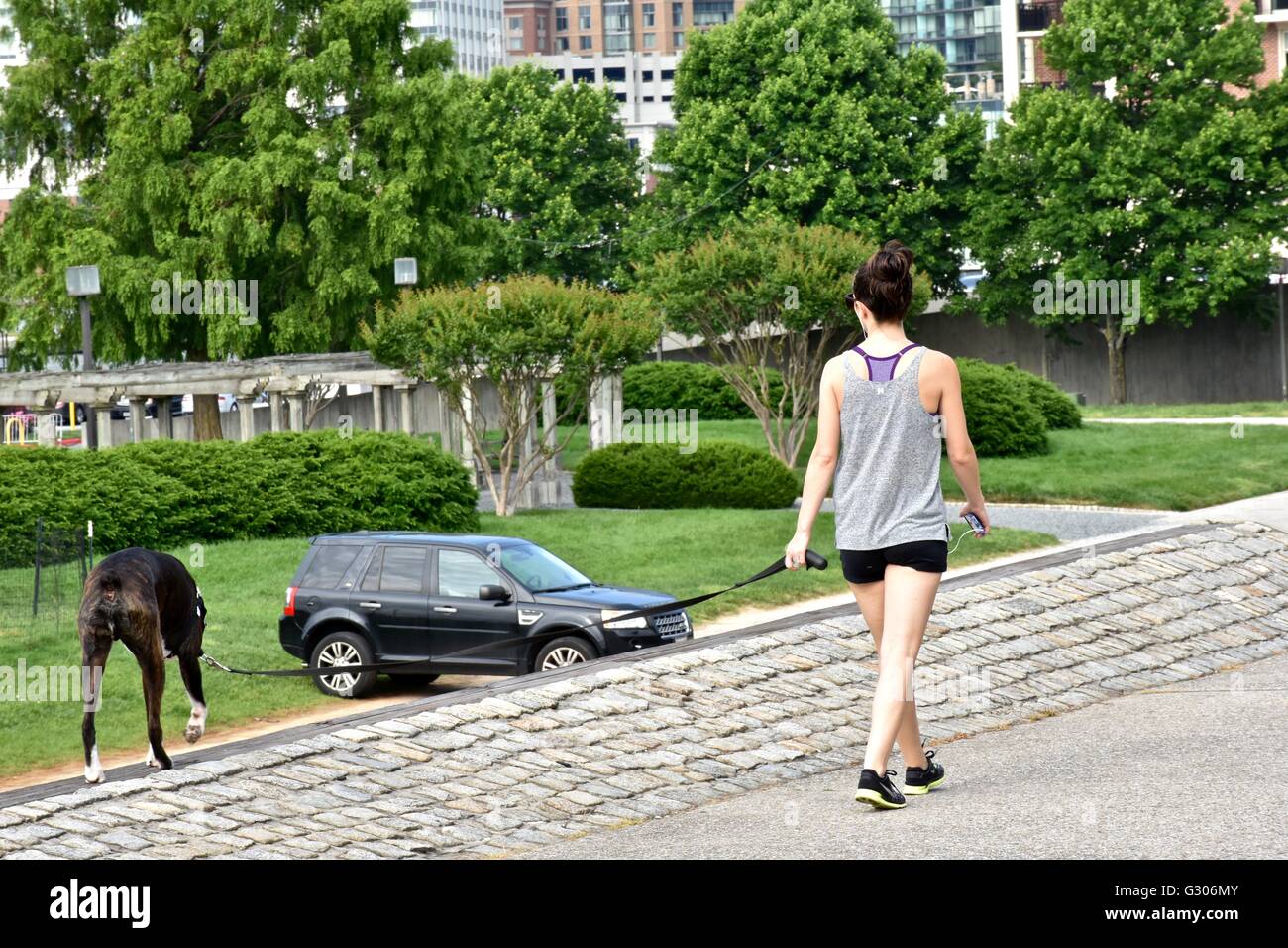 woman walking her dog in the park Stock Photo - Alamy