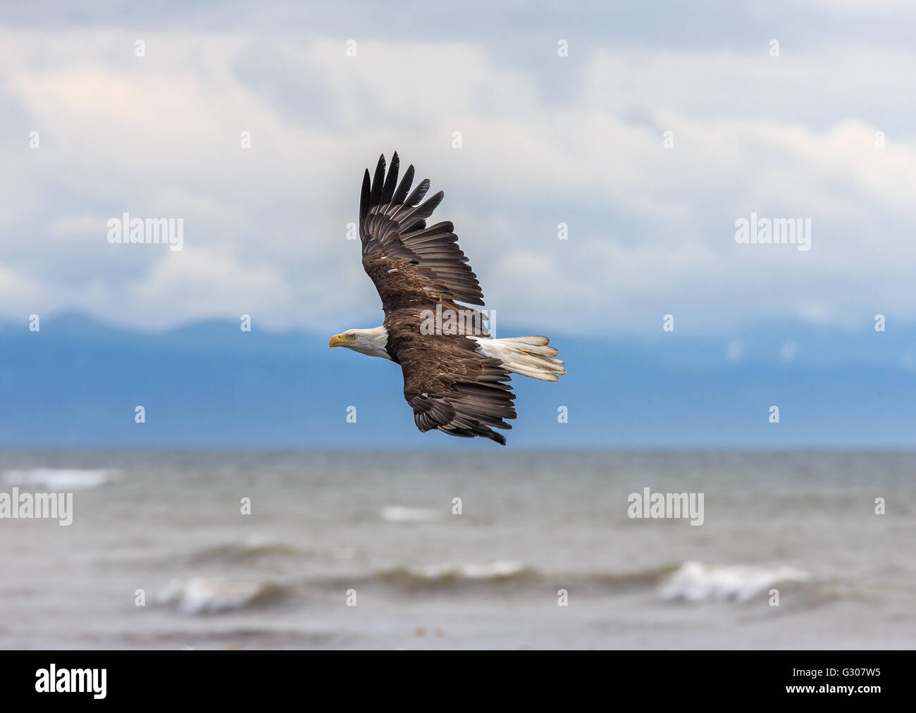 Alaskan freedom hi-res stock photography and images - Alamy