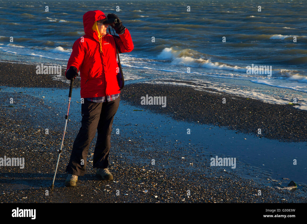 Birder on beach, Damon Point State Park, Washington Stock Photo - Alamy