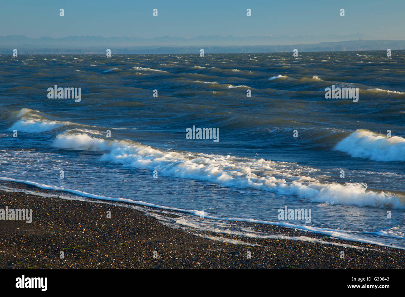 Beach, Damon Point State Park, Washington Stock Photo - Alamy