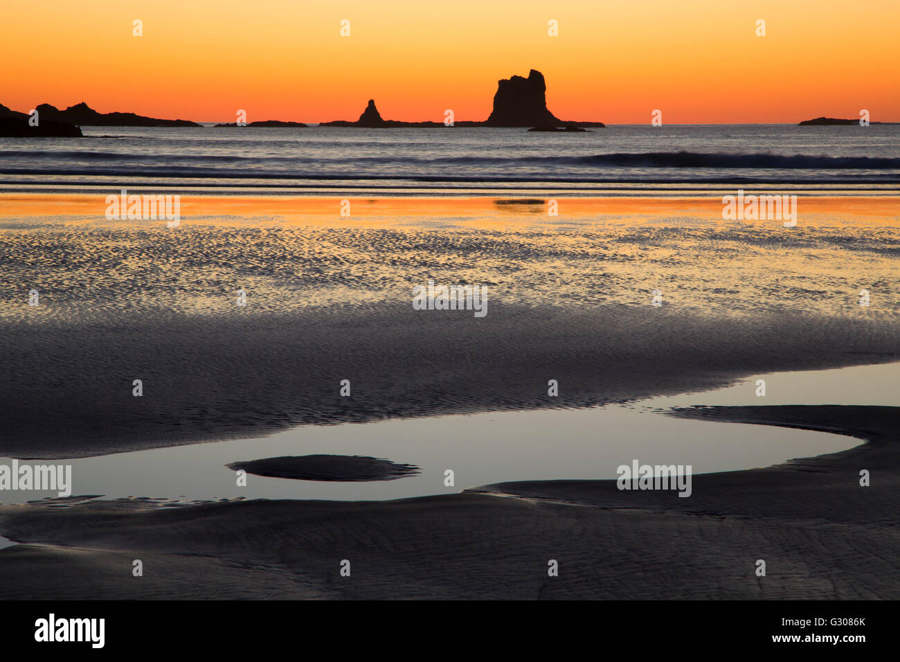 Second Beach sunset, Olympic National Park, Washington Stock Photo - Alamy