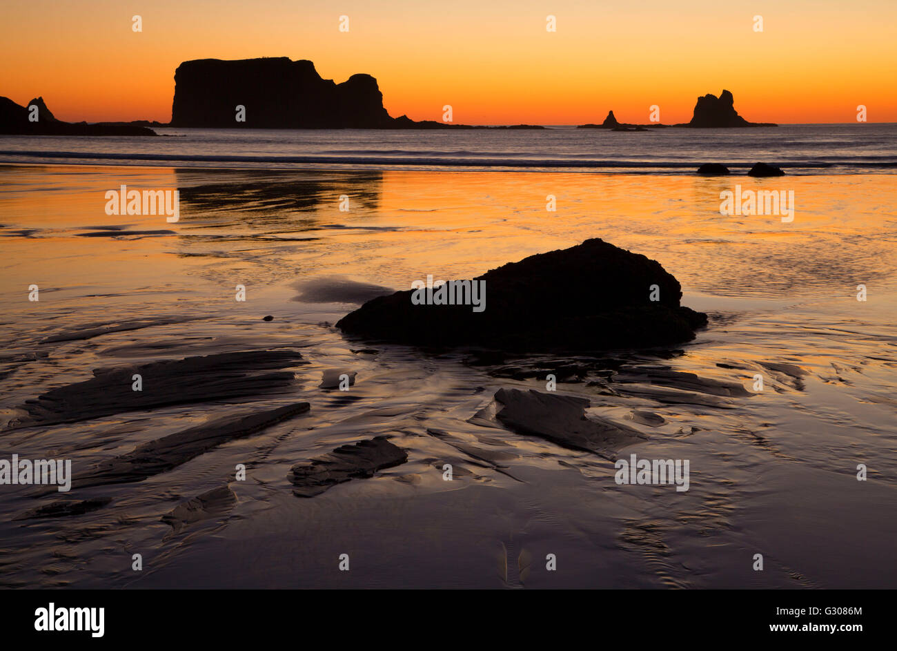 Second Beach sunset, Olympic National Park, Washington Stock Photo - Alamy