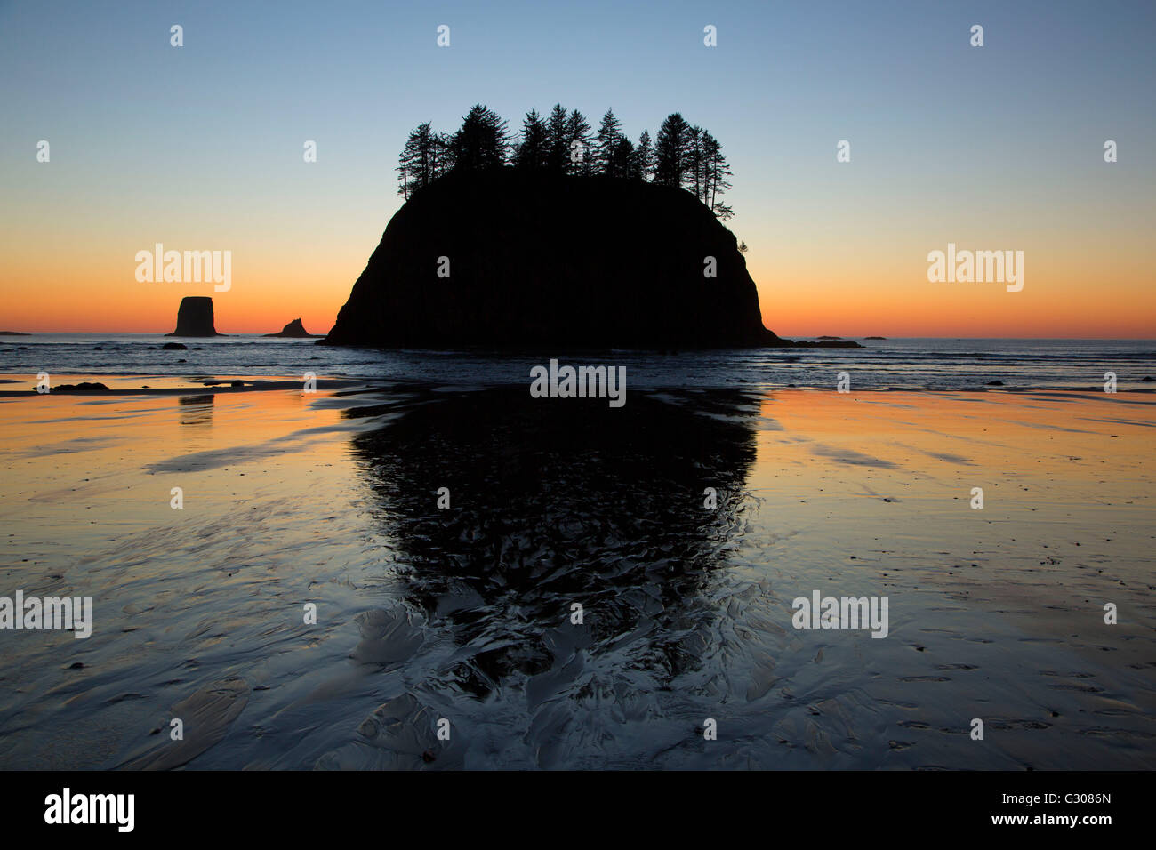 Second Beach sunset, Olympic National Park, Washington Stock Photo - Alamy