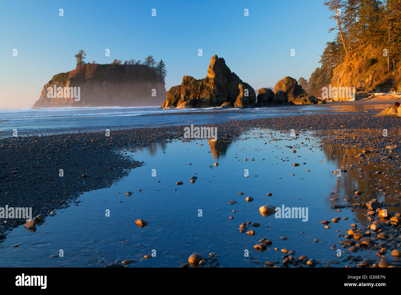 Washington olympic park hi-res stock photography and images - Alamy