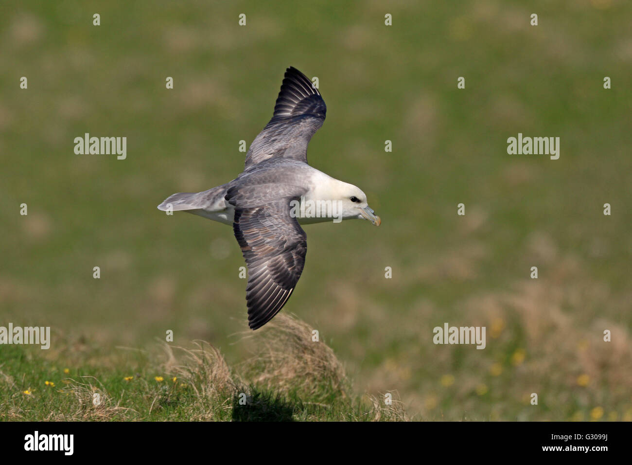 Flying over land hi-res stock photography and images - Alamy