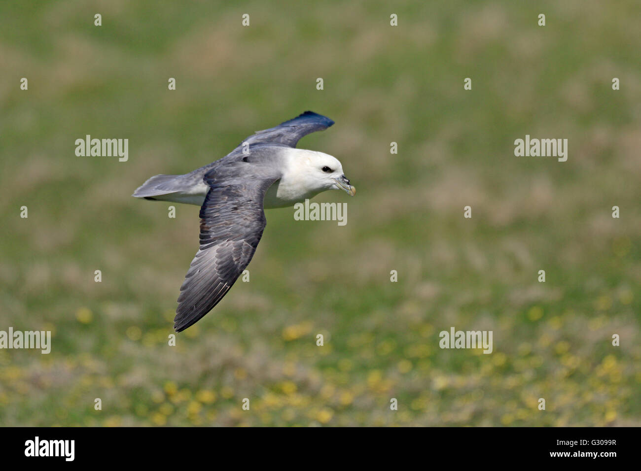 Flying over land hi-res stock photography and images - Alamy