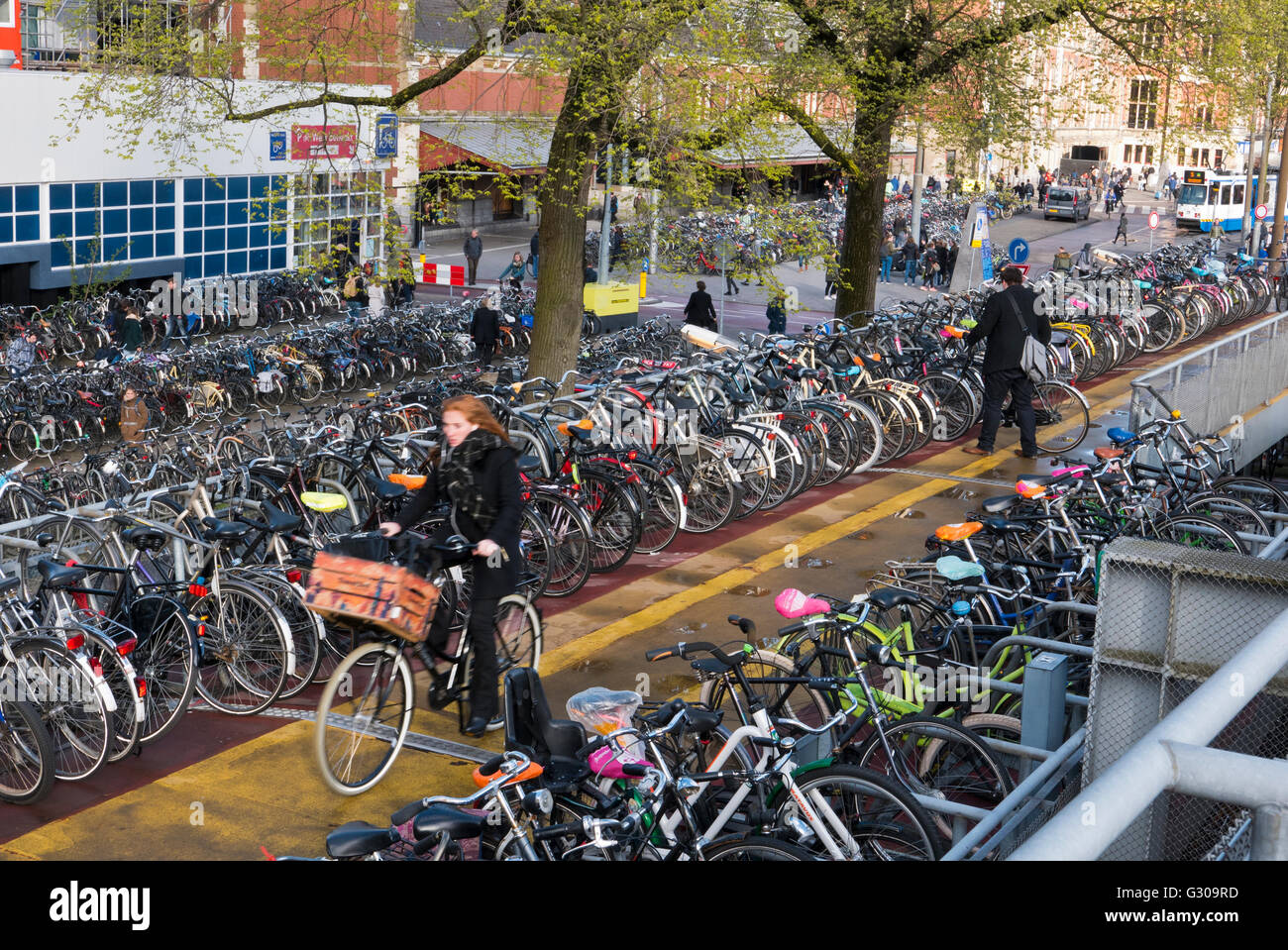 Bicycle storage near Central train station in Amsterdam, Holland ...