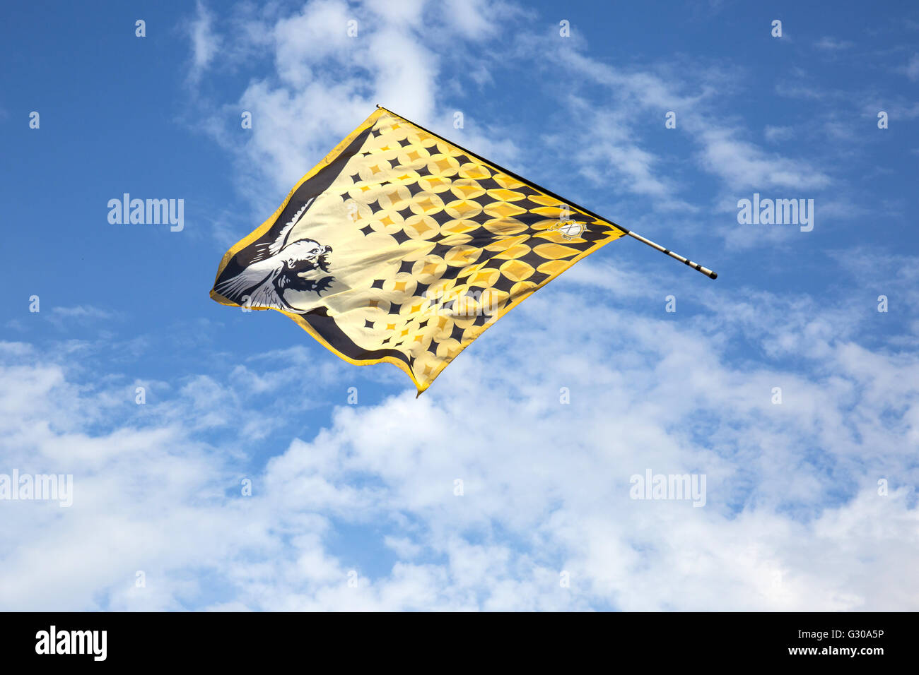 Flag thrower hi-res stock photography and images - Alamy