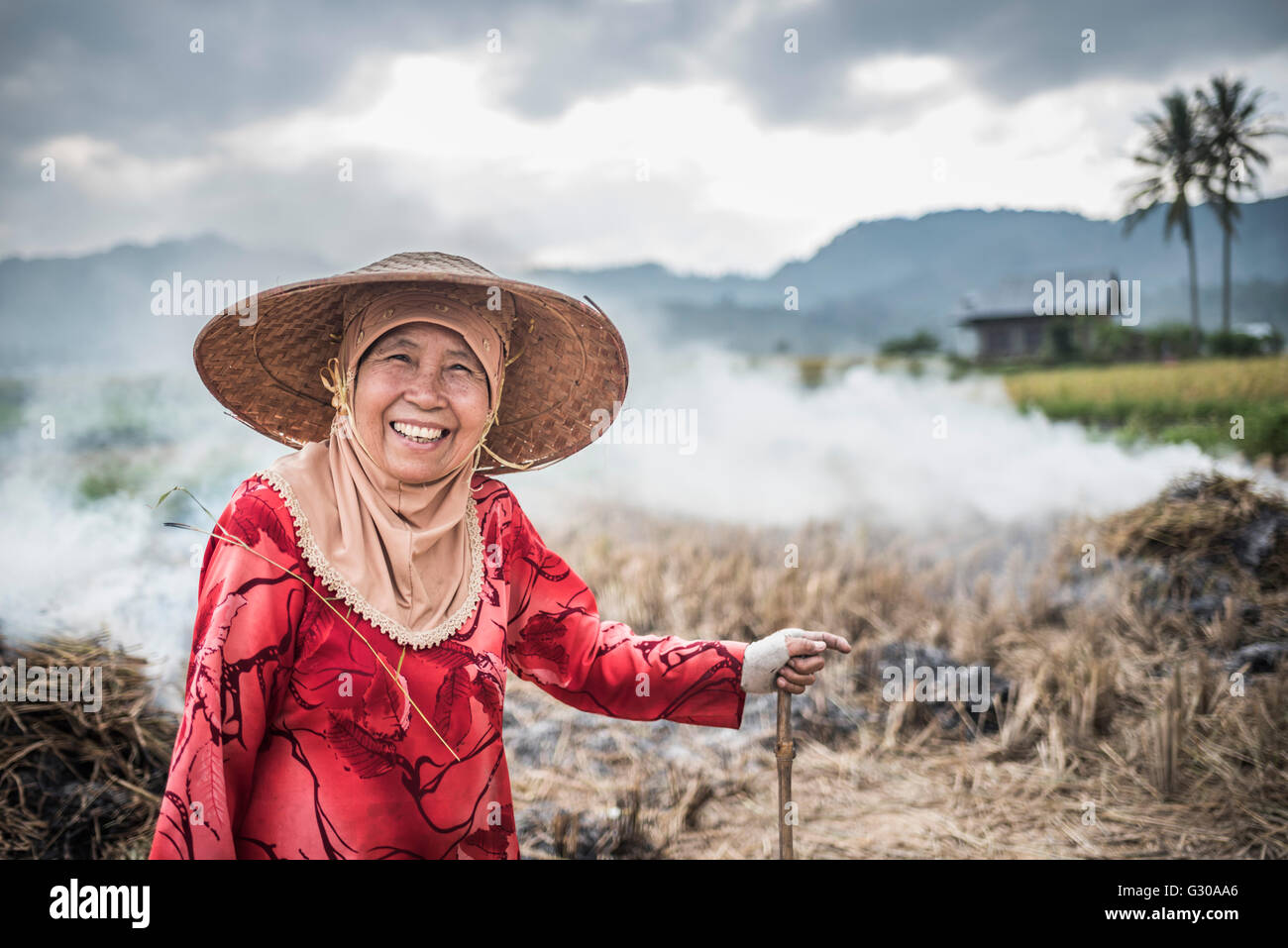 Portrait of a farmer burning crops in rice paddy fields, Bukittinggi ...