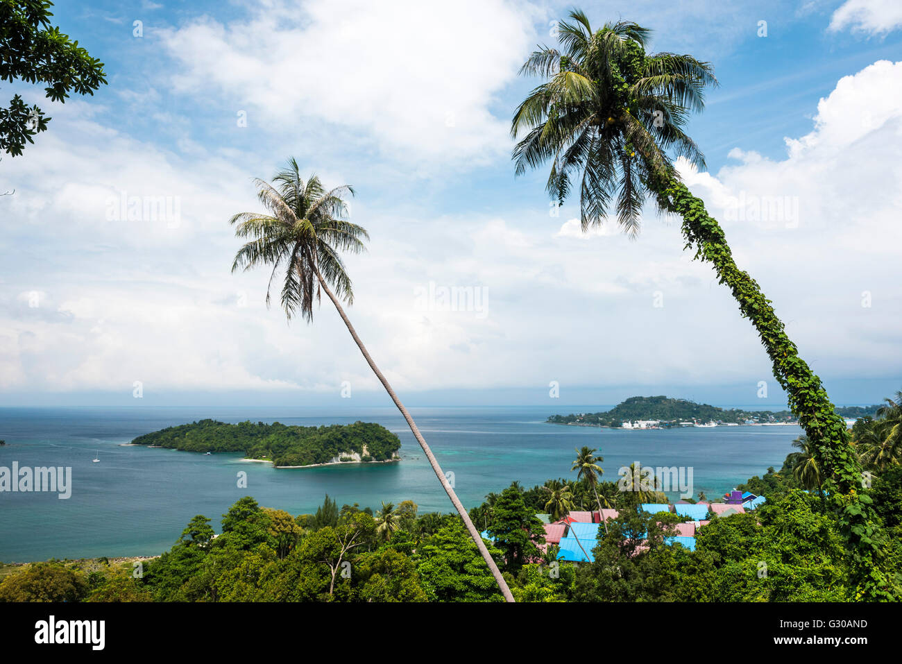 Horizontal landscape tree hi-res stock photography and images - Alamy