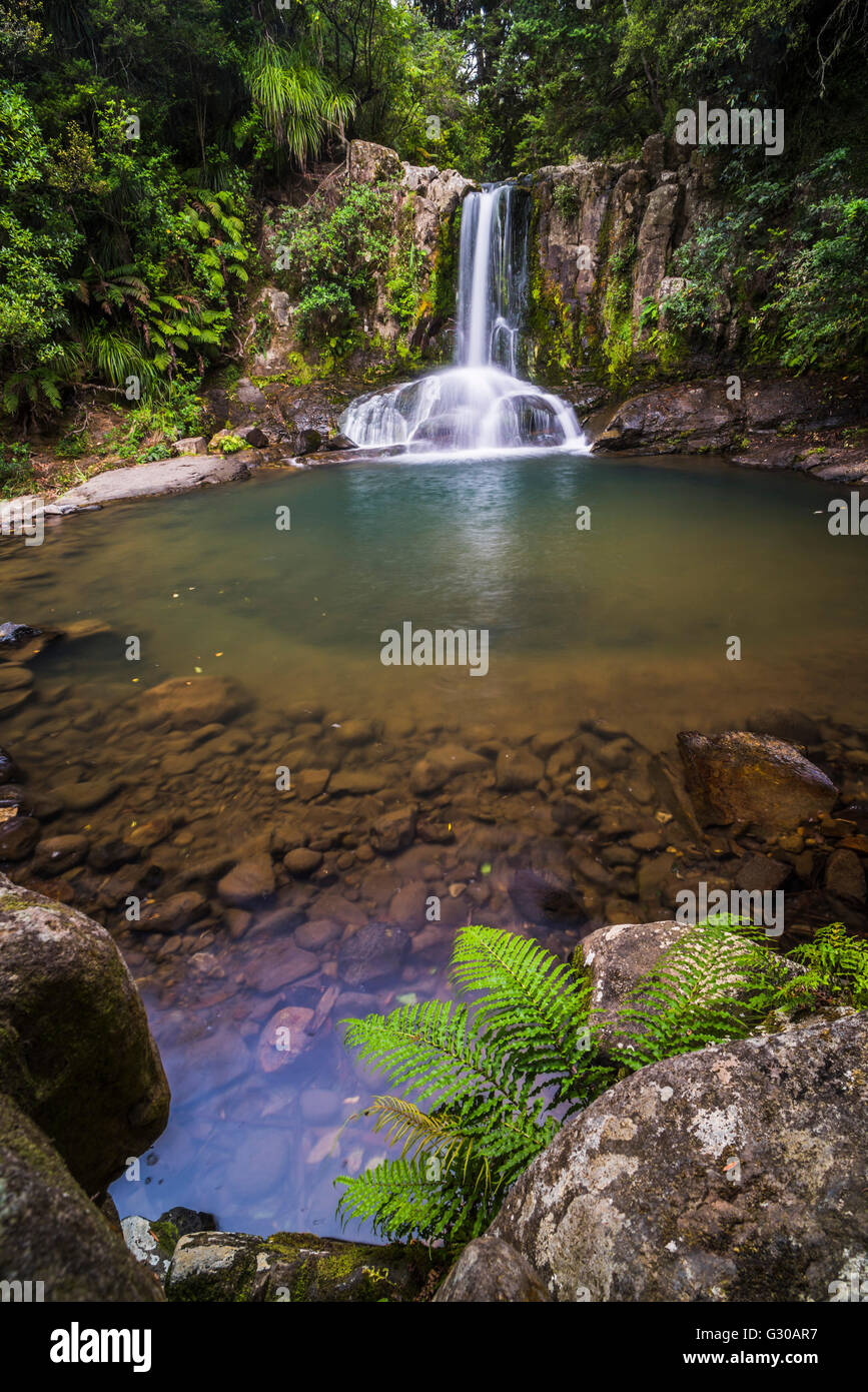 Waiau Falls, a waterfall on Road 309, Coromandel Peninsula, North ...