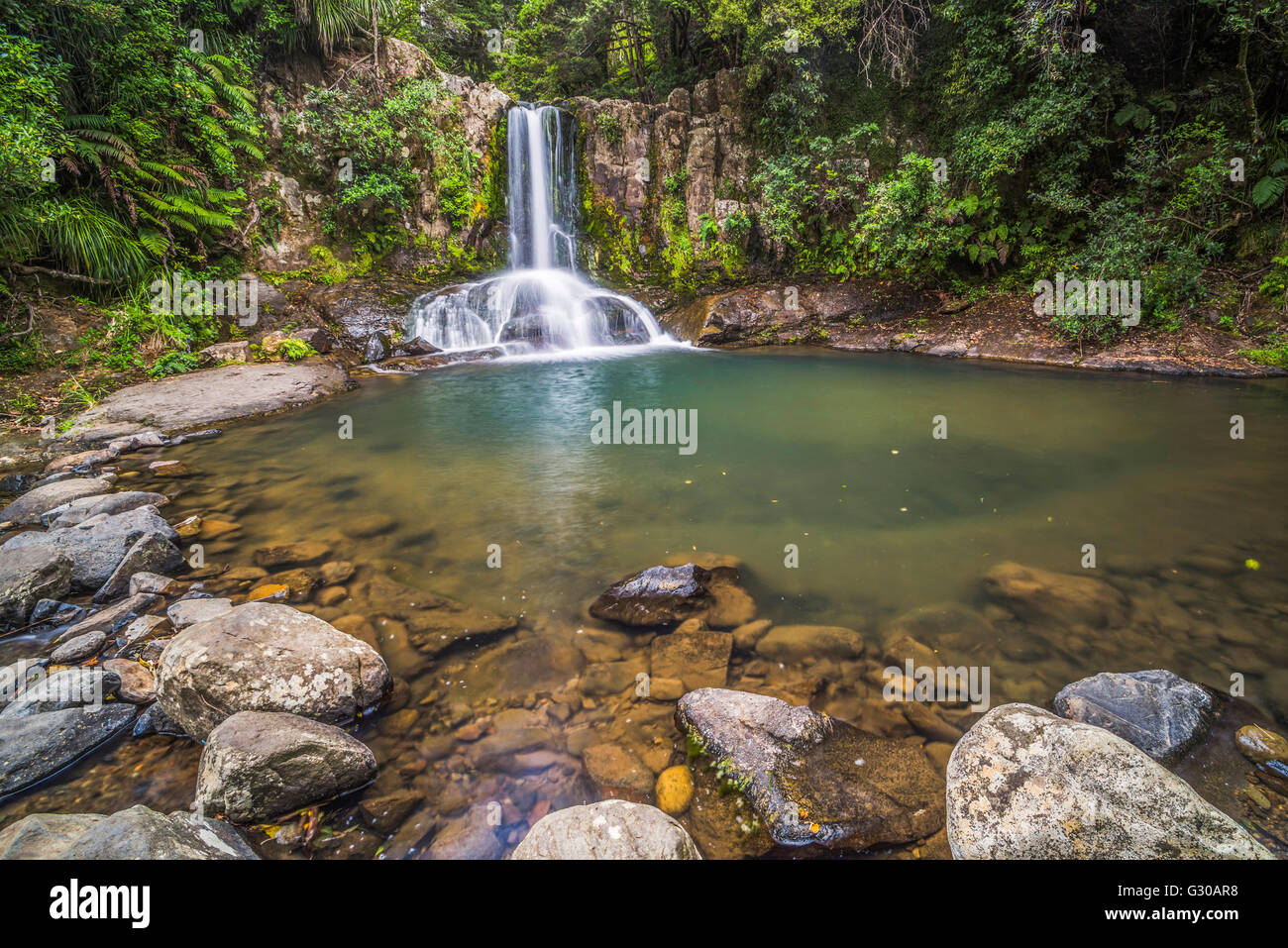 Waiau Falls, a waterfall on Road 309, Coromandel Peninsula, North ...