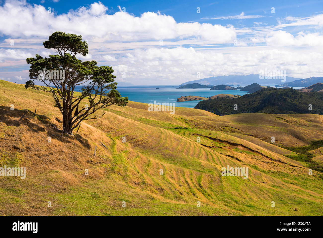 Coromandel peninsula new zealand hi-res stock photography and images ...