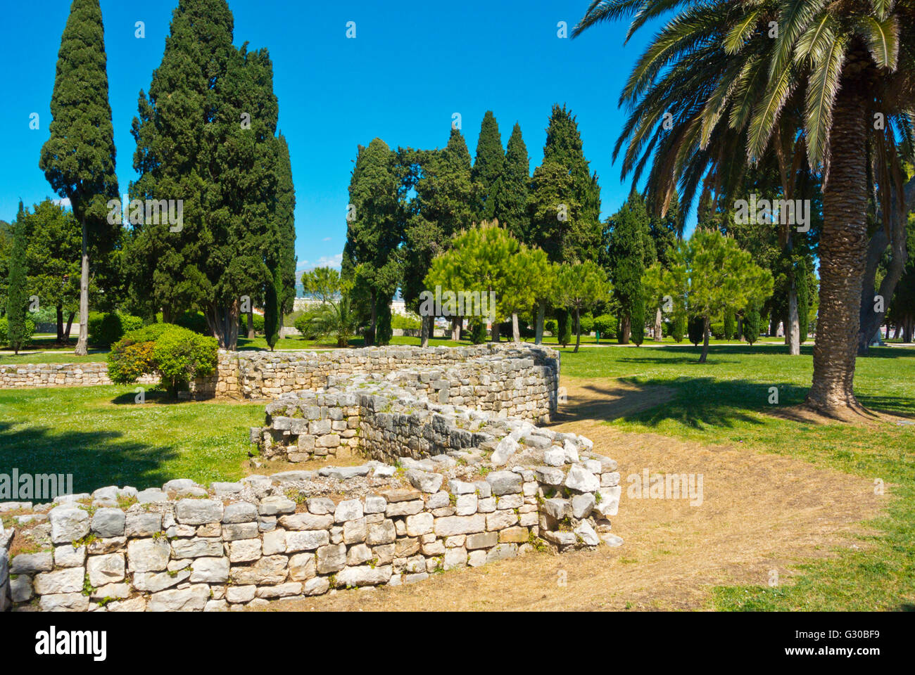 Split trees hi-res stock photography and images - Alamy