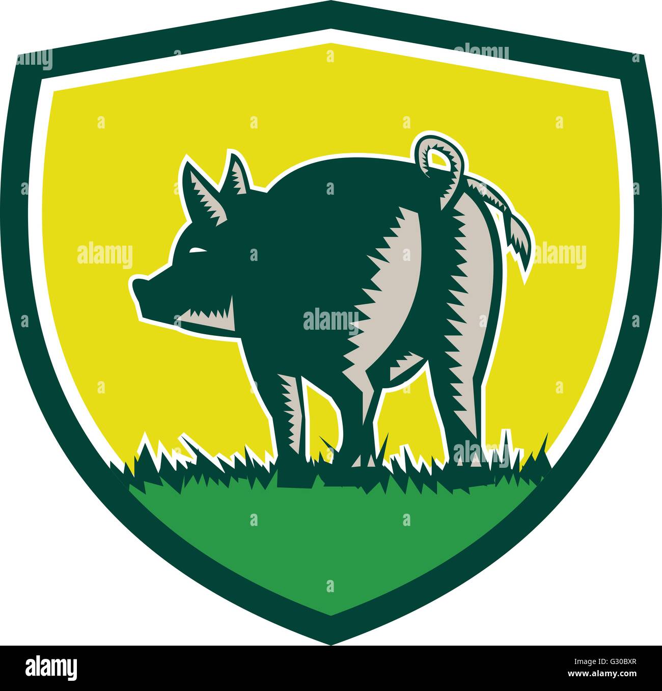 Illustration of a pig standing showing pigtail viewed from rear set ...