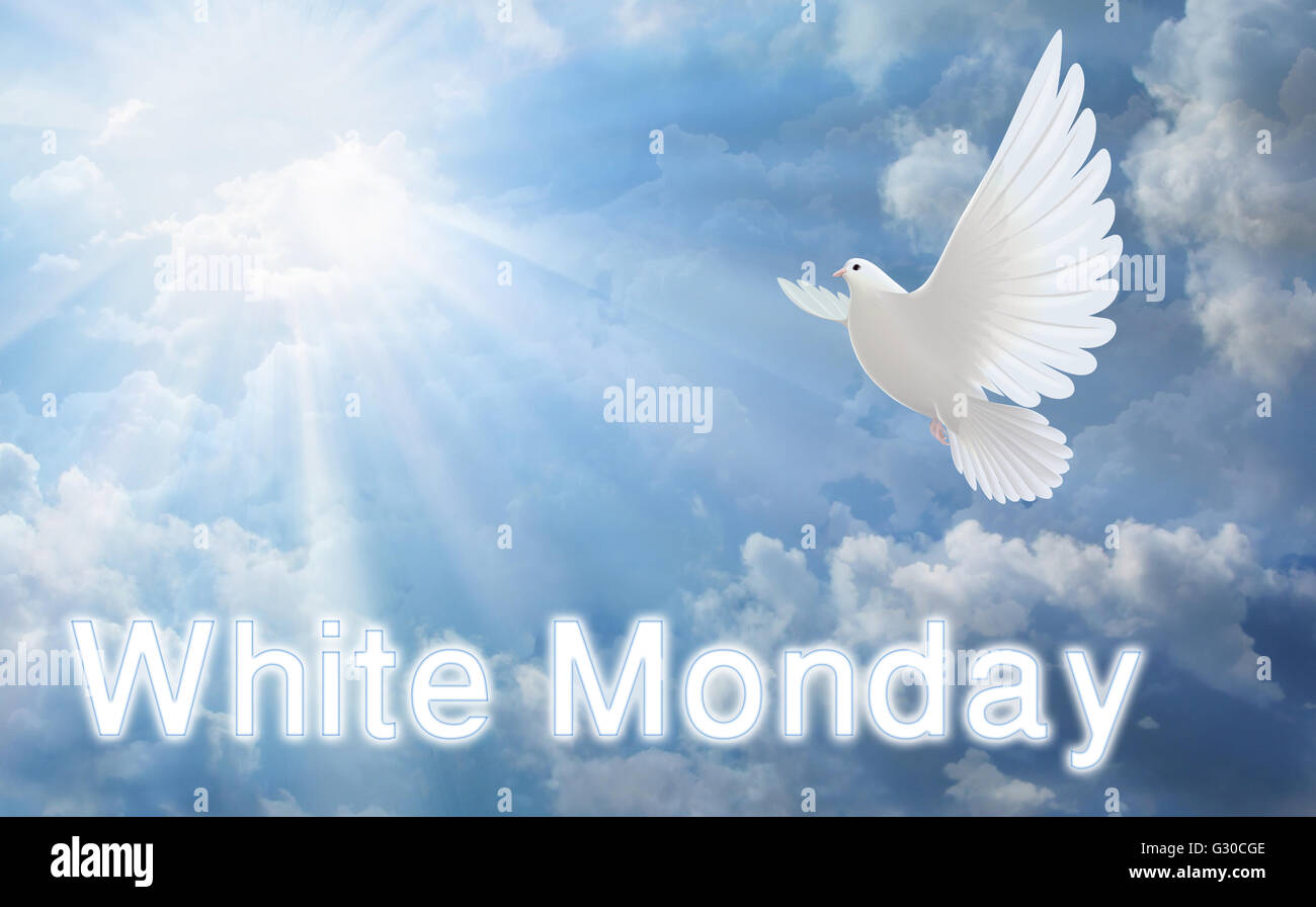 Blue cloudy sky background with a white dove for white Monday Stock ...