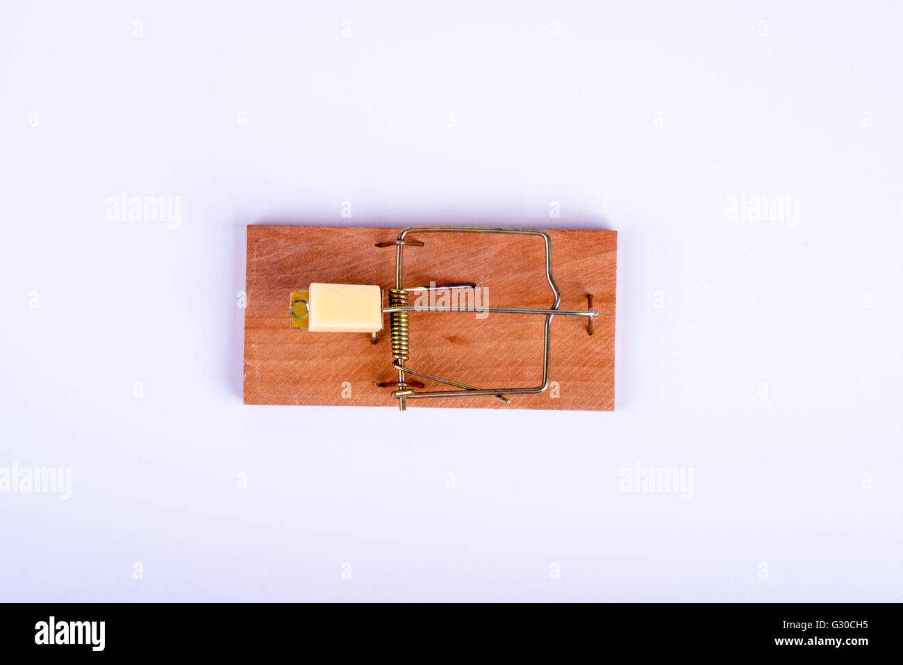 Photo of mouse trap on white background Stock Photo - Alamy