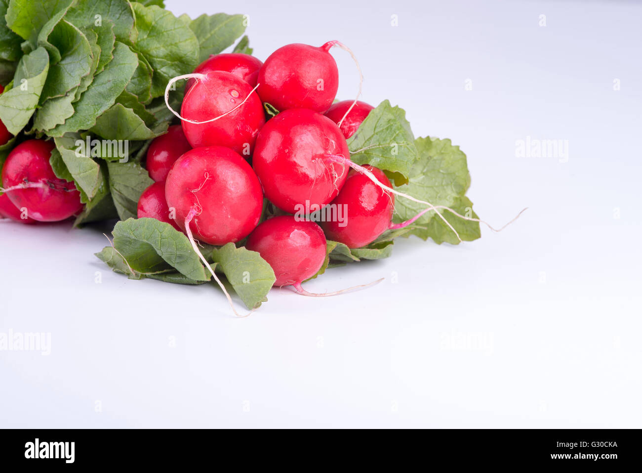 a photo of fresh red radishes Stock Photo - Alamy