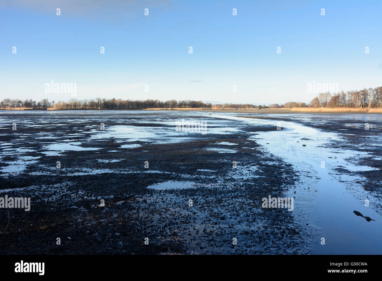 Drained pond halterteich the peitzer fishponds hi-res stock photography ...