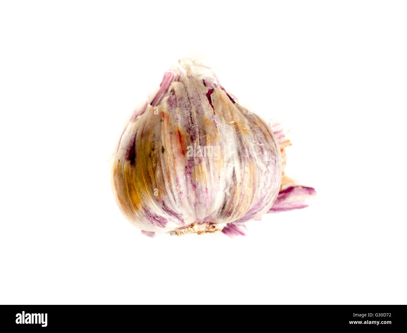 Garlic on white background Stock Photo - Alamy